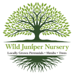 Home - Wild Juniper Nursery